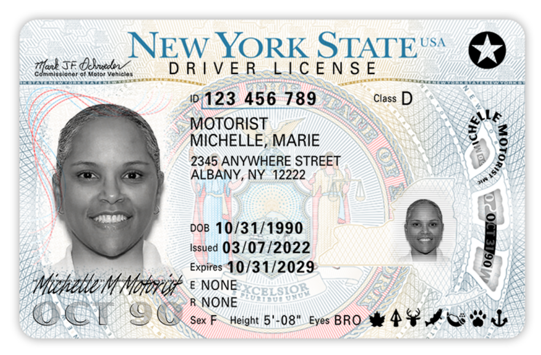 New York Boaters: Got Your Boating Safety Certificate Yet? : BoatUS ...